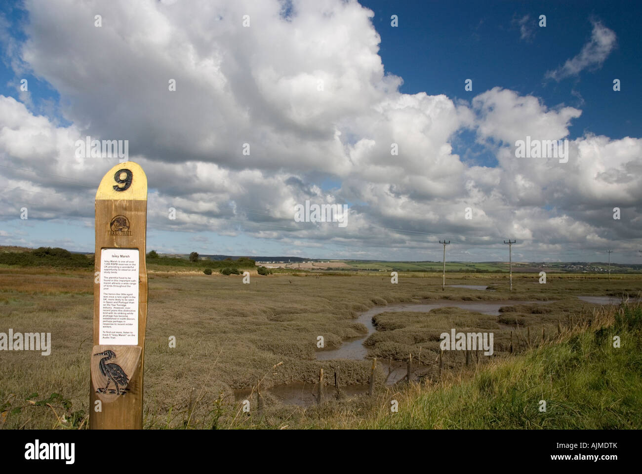 Isley Marsh by Tarka Trail near Barnstaple Stock Photo - Alamy