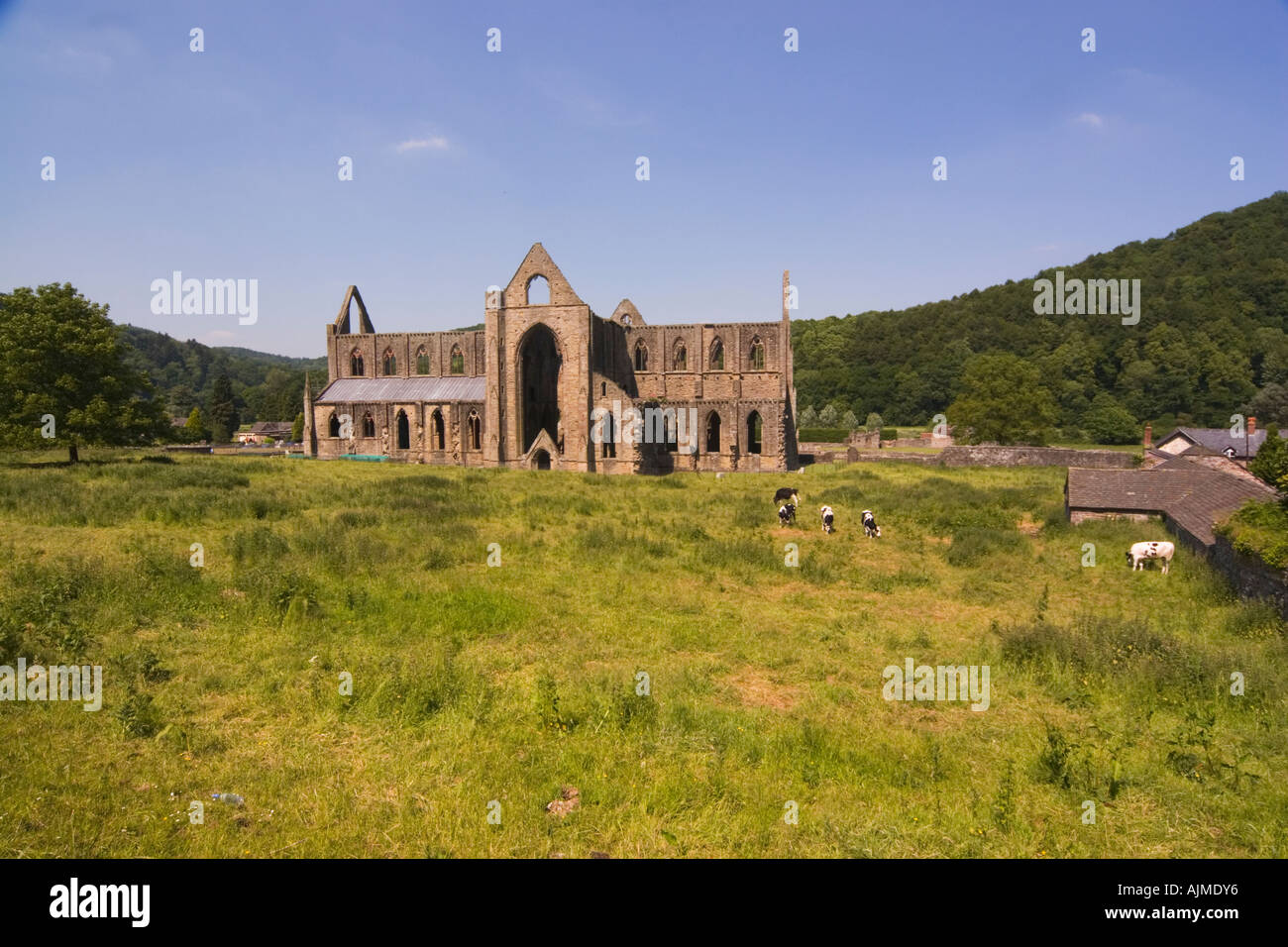 Tintern Abbey Wales UK Stock Photo - Alamy