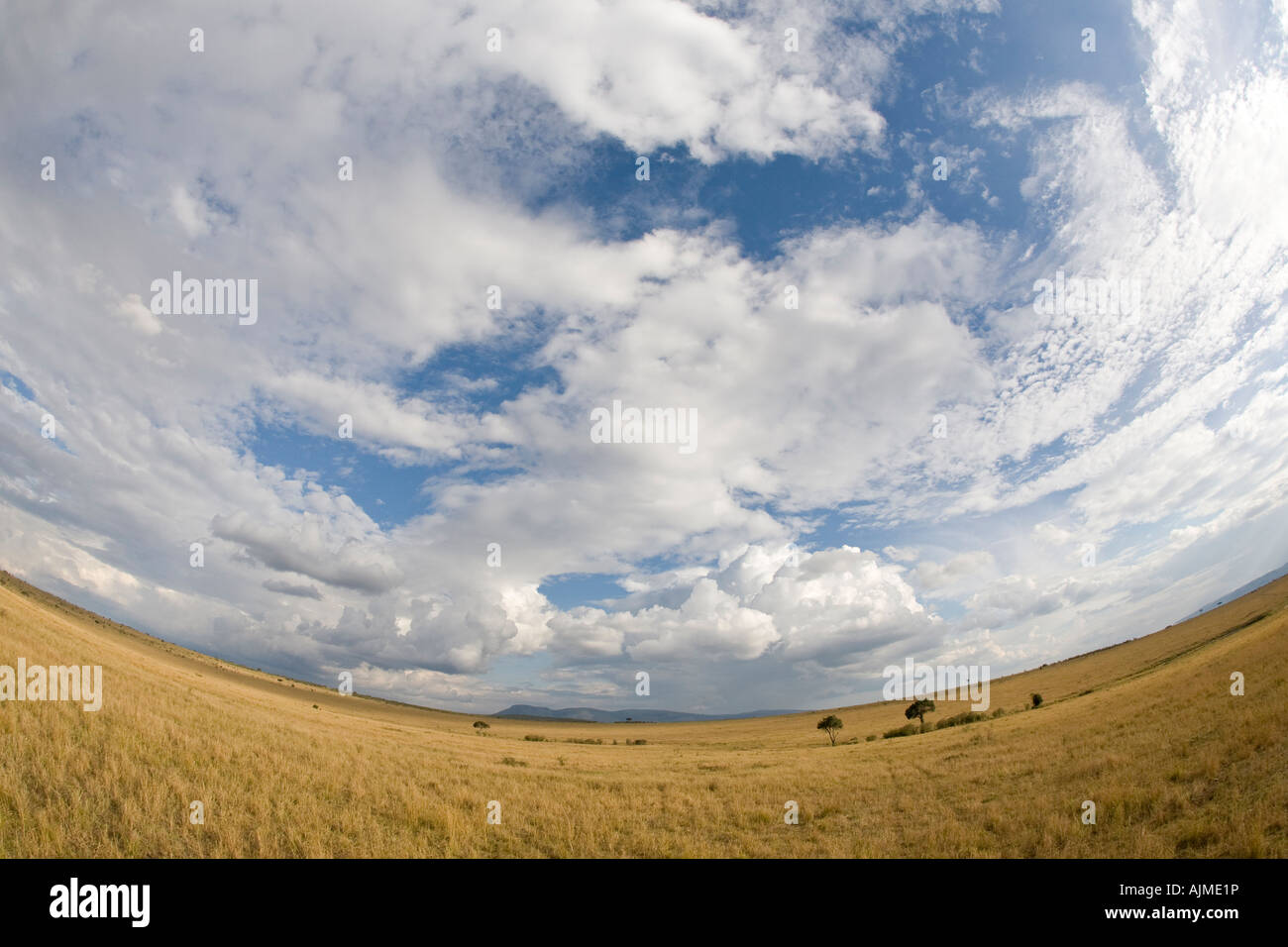 Fisheye view of the Masai Mara, Kenya Stock Photo - Alamy