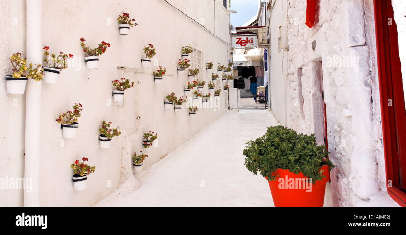 Bodrum town side street off Bar Street, Turkey Stock Photo - Alamy