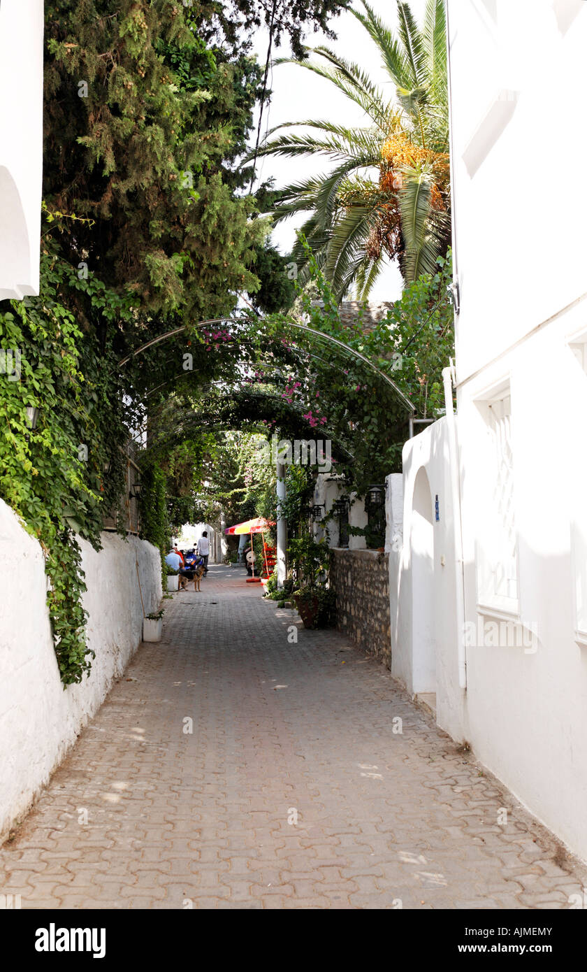 Bodrum bar street hi-res stock photography and images - Alamy