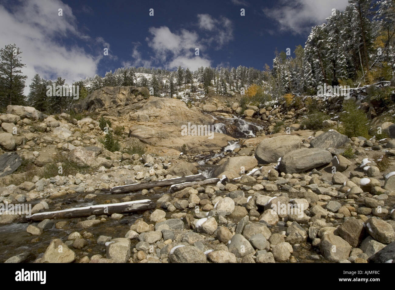 Snow snow covered trees winter Weather Alluvial Fan falls Rocky ...
