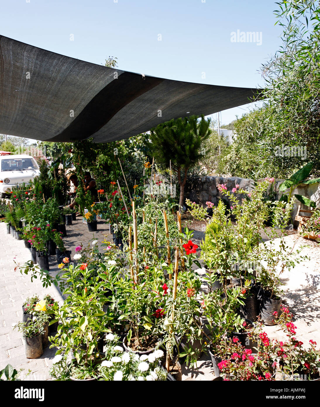Turkish Pazar (Bazaar) outdoor market Bodrum Peninsula Turkey Mugla ...