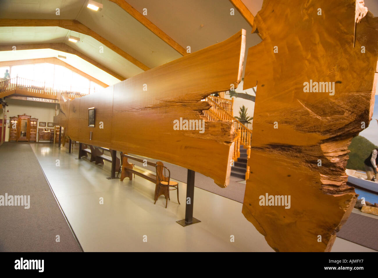 Kauri museum matakohe new zealand hi-res stock photography and images ...
