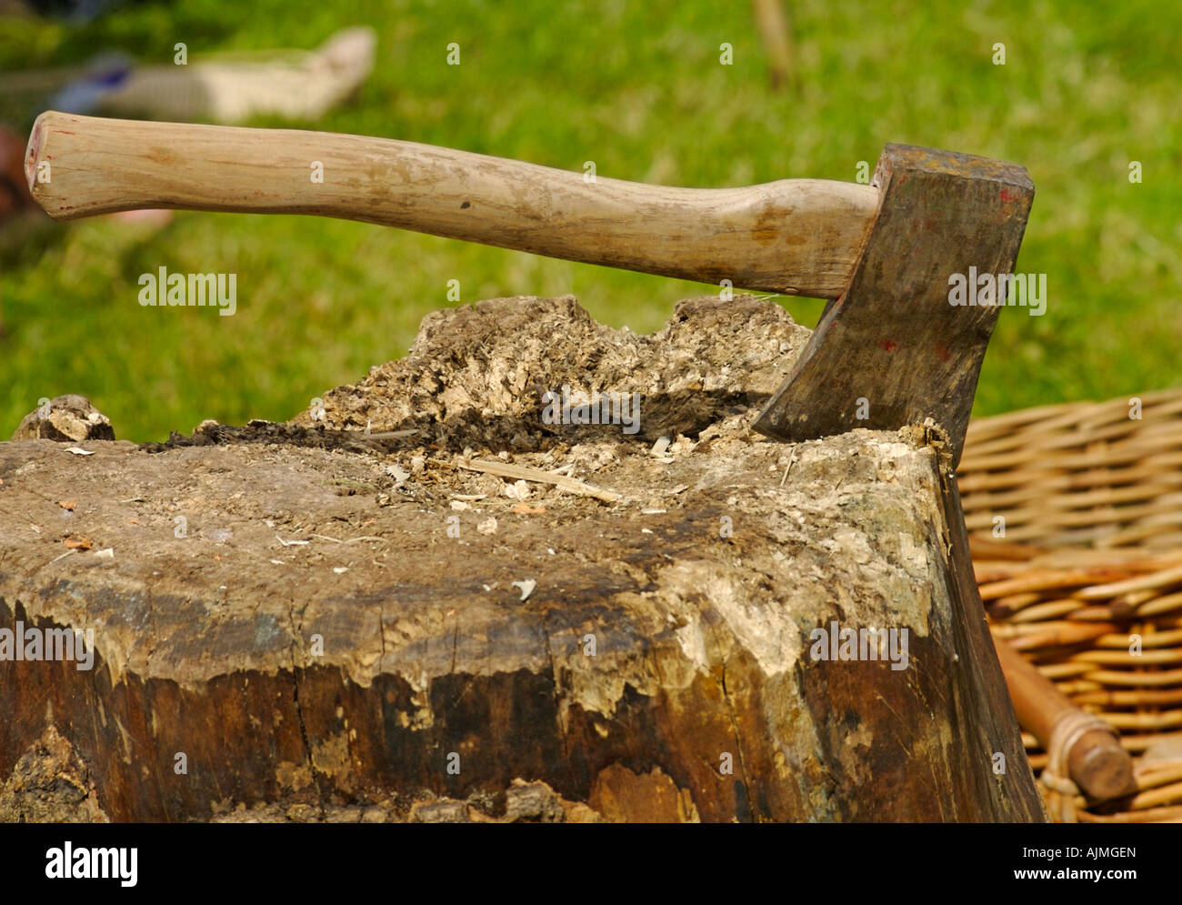 Axe in a block of wood shown during medieval feasting pageant, England ...