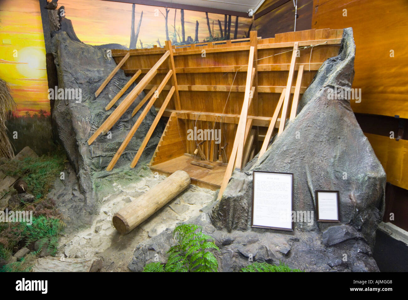 Matakohe kauri museum hi-res stock photography and images - Alamy