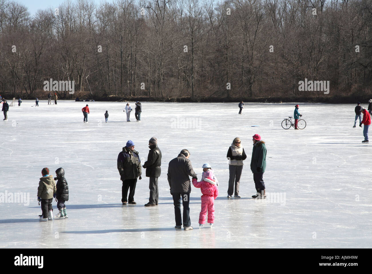 Groups of people standing around or skating on the ice with one person ...