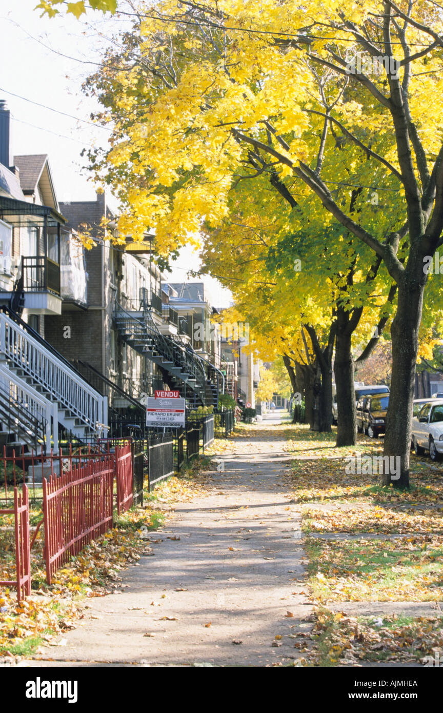 Montreal street in autumn Stock Photo - Alamy