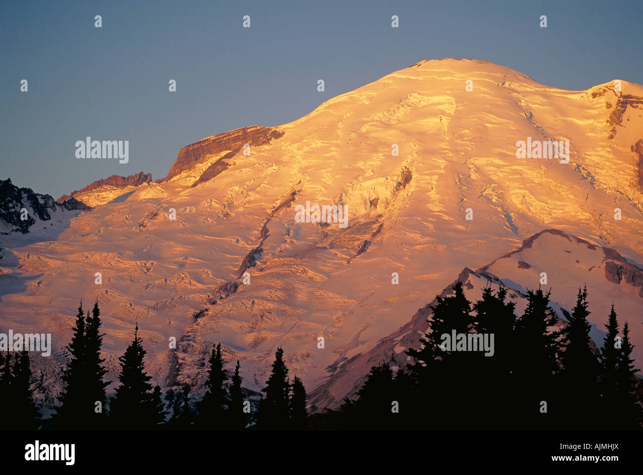 Mt washington treeline hi-res stock photography and images - Alamy