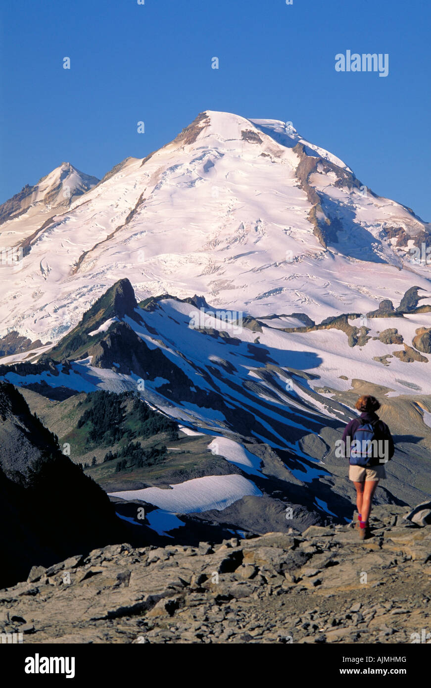 Elk254 5748 Washington Mt Baker Scenic Byway Mt Baker landscape with ...