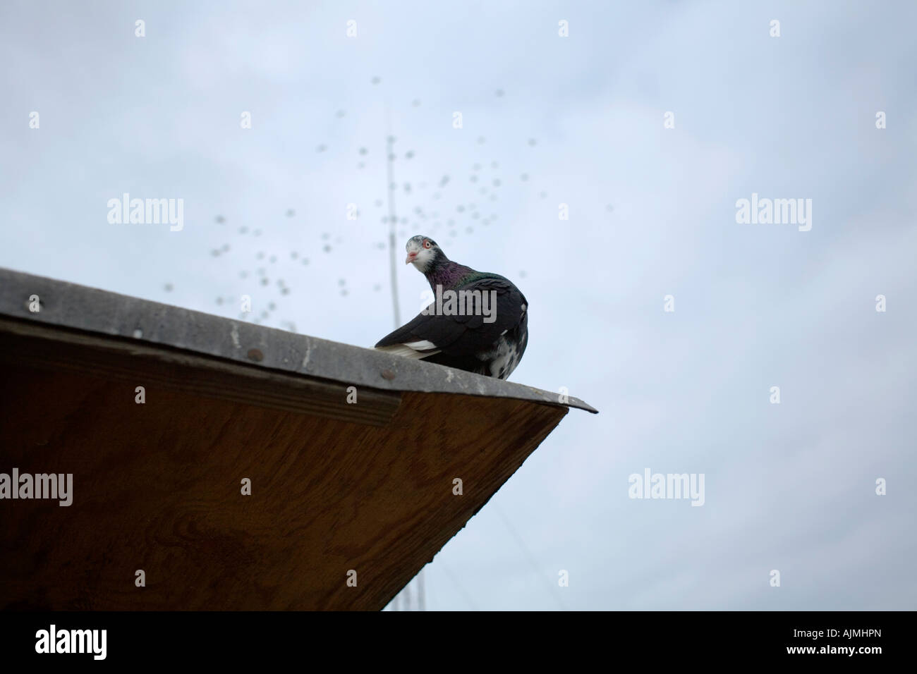 Twisted spine hi-res stock photography and images - Alamy