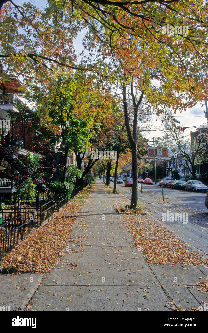 Montreal street in autumn Stock Photo - Alamy