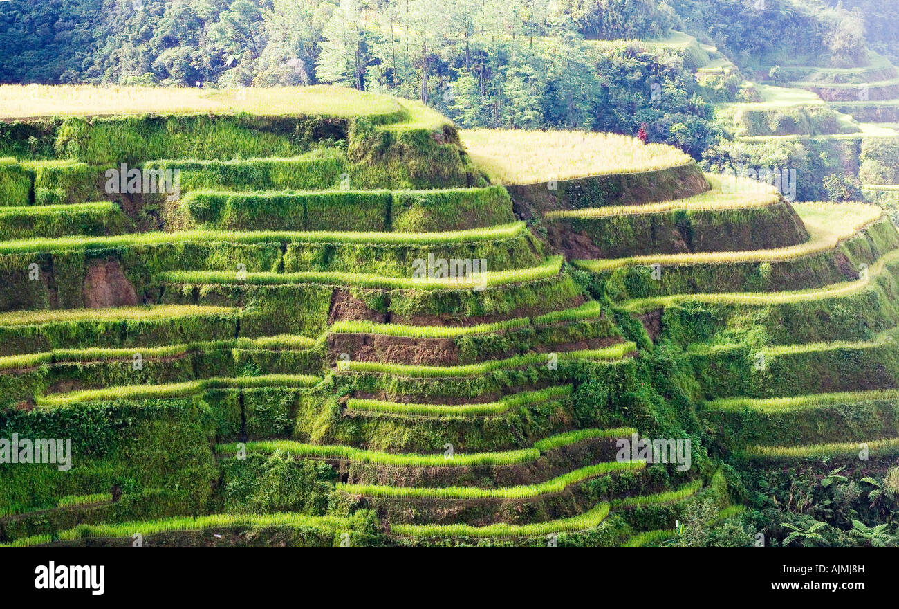 Banawe rice terraces hi-res stock photography and images - Alamy