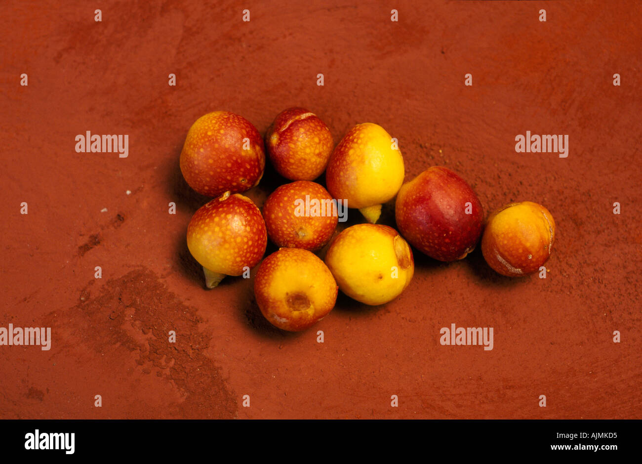 Australian figs hi-res stock photography and images - Alamy