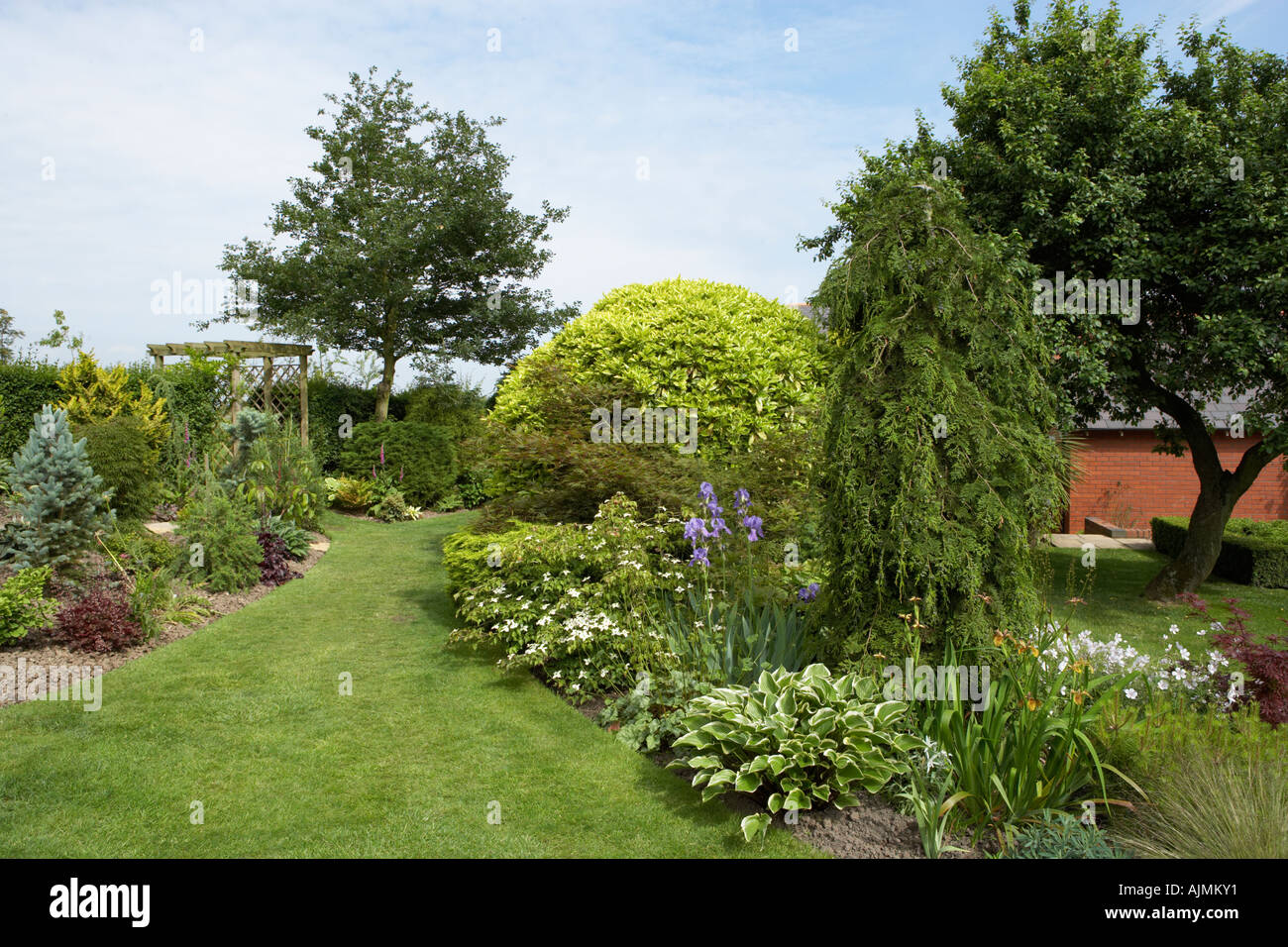 large garden with conifers Stock Photo - Alamy