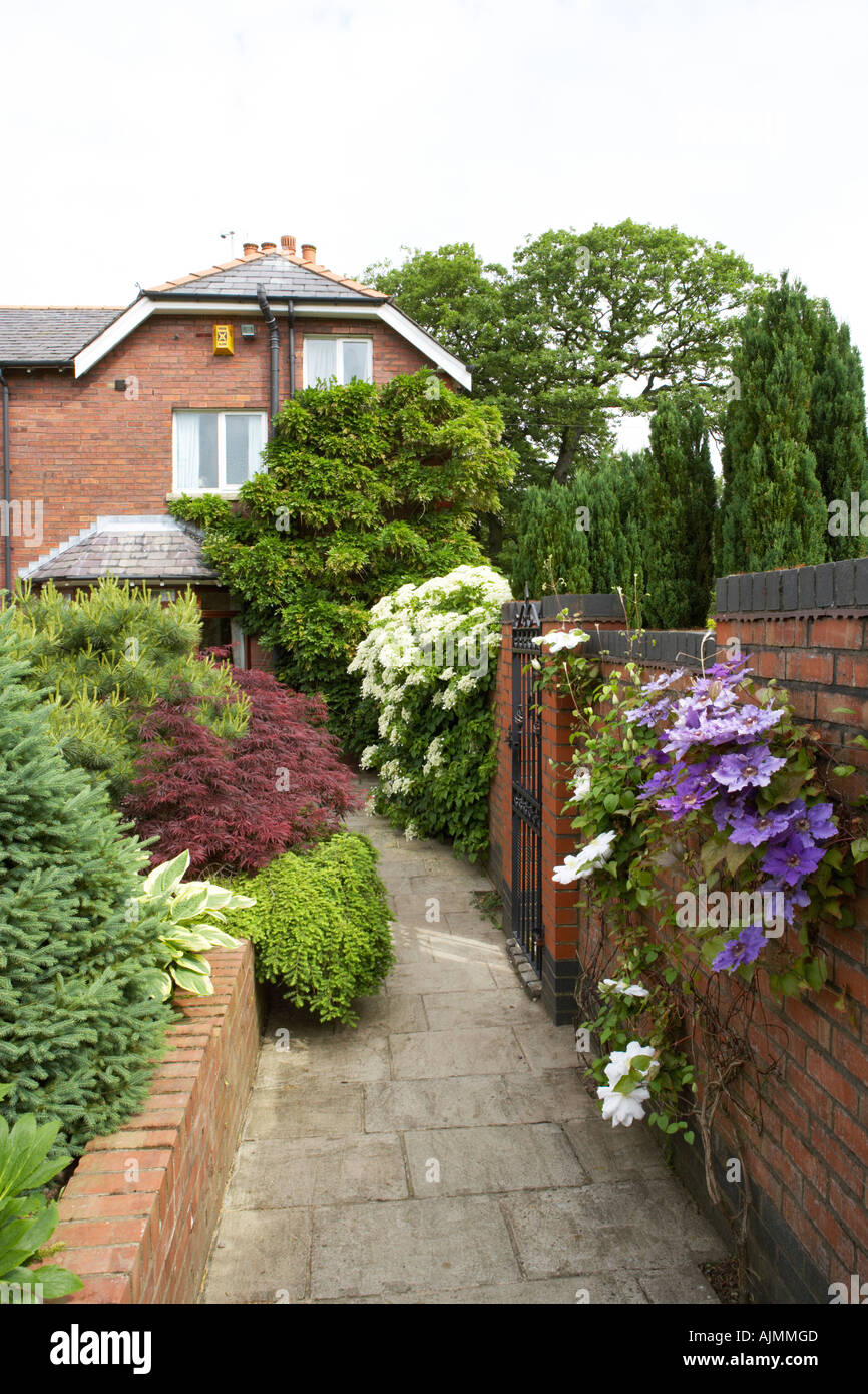 path to garden with clematis hydrangea and various conifers Stock Photo ...