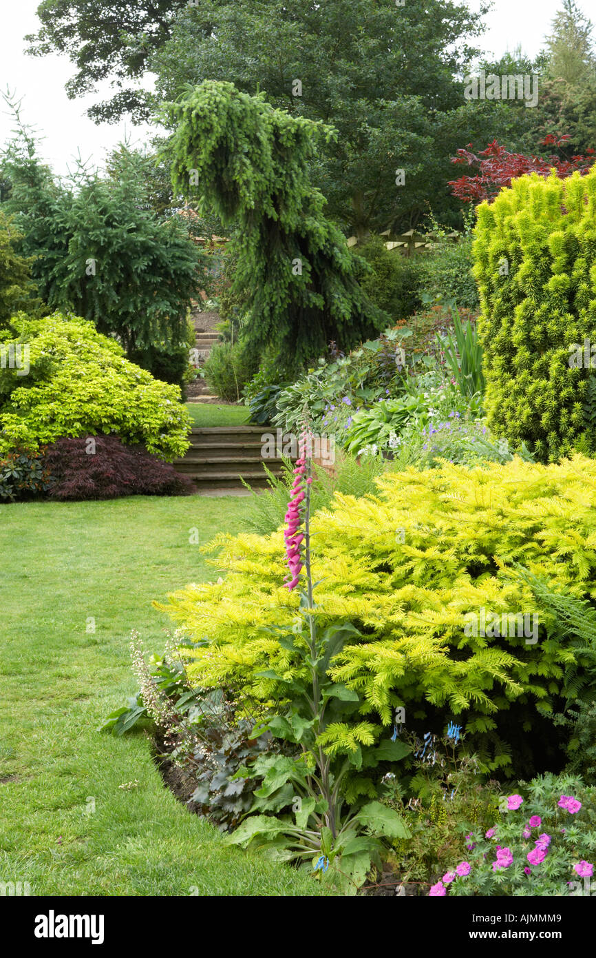 Two Yew varieties at Cypress House Dalton Stock Photo - Alamy