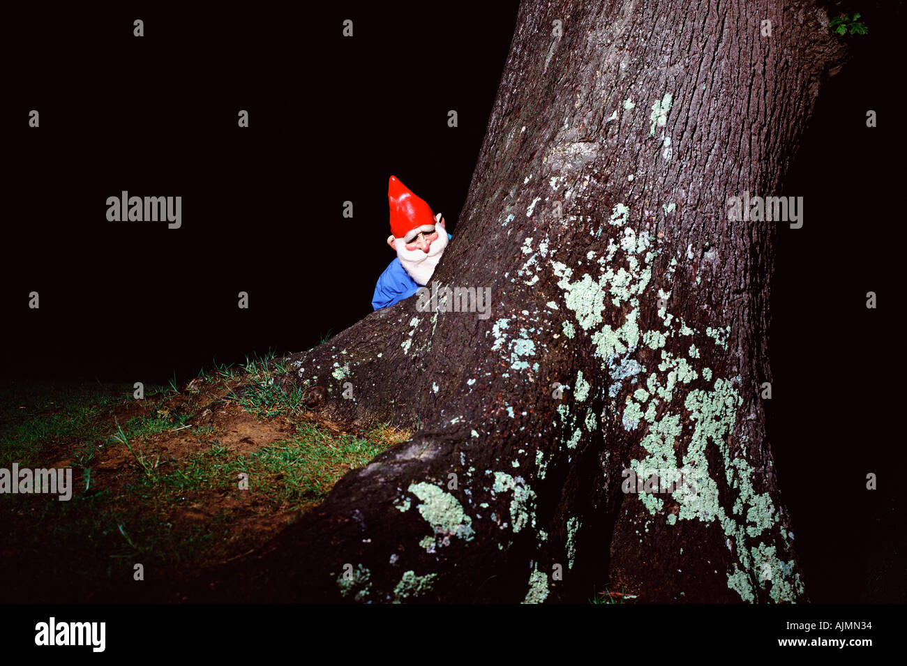 Garden gnome hiding behind tree Stock Photo - Alamy
