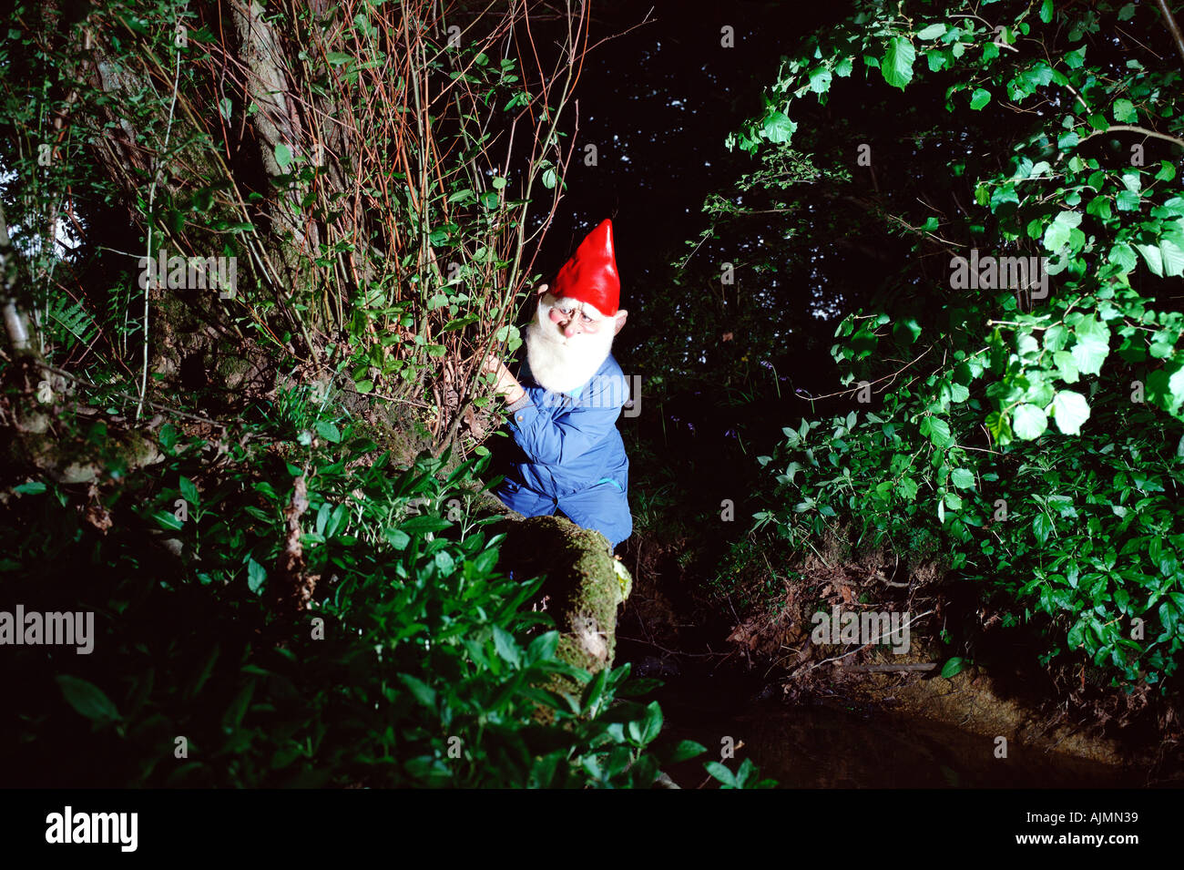Hiding behind bush hi-res stock photography and images - Alamy