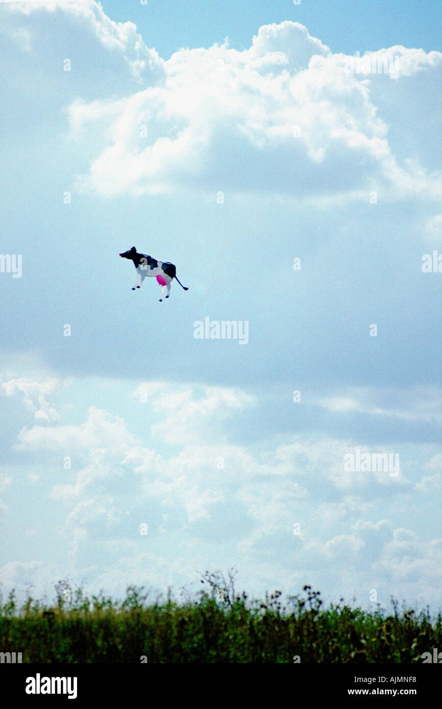 Inflatable cow in sky Stock Photo - Alamy