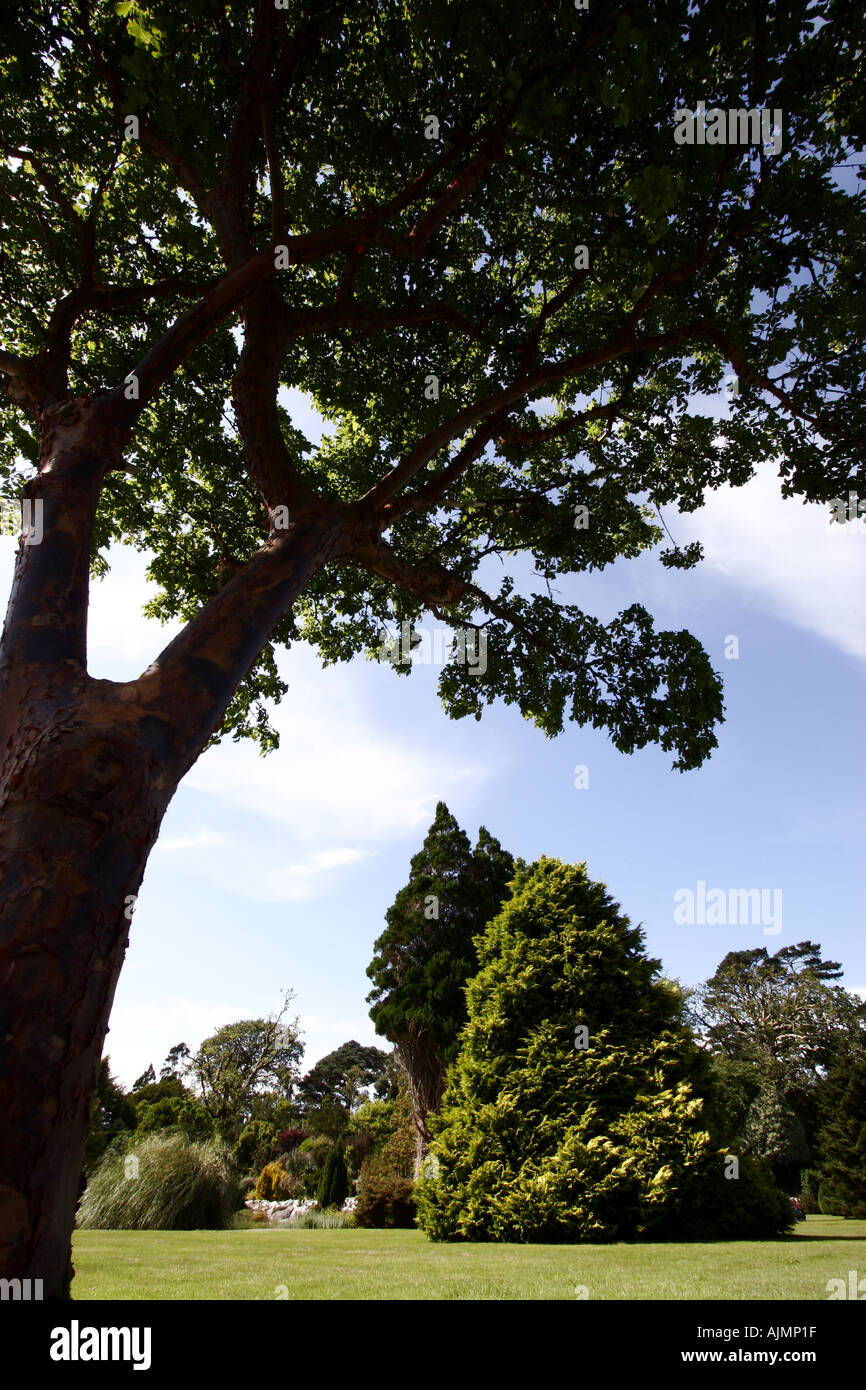 Muckross house gardens Muckross Killarney County Kerry Ireland Stock ...