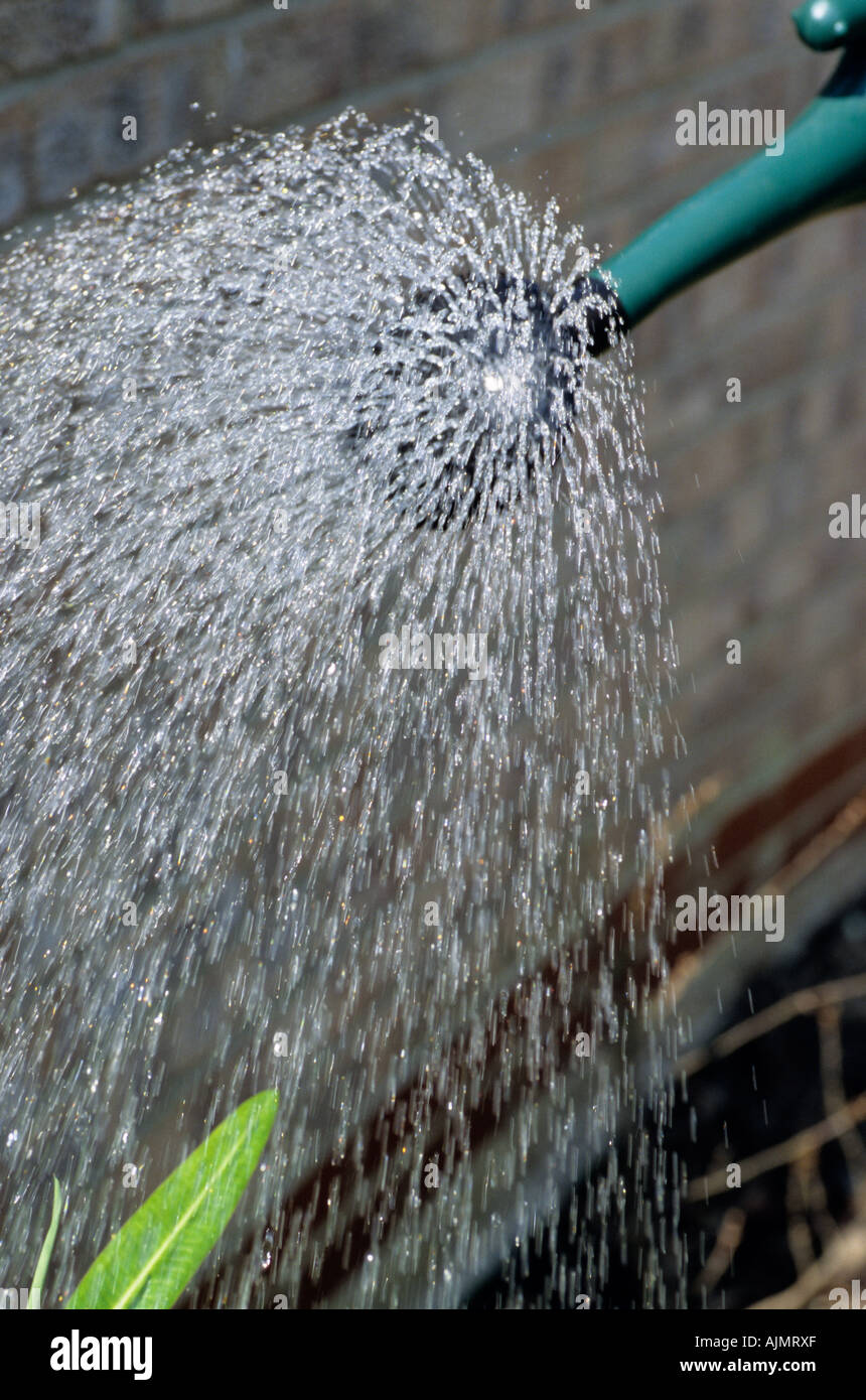 Watering can with rose spout hi-res stock photography and images - Alamy