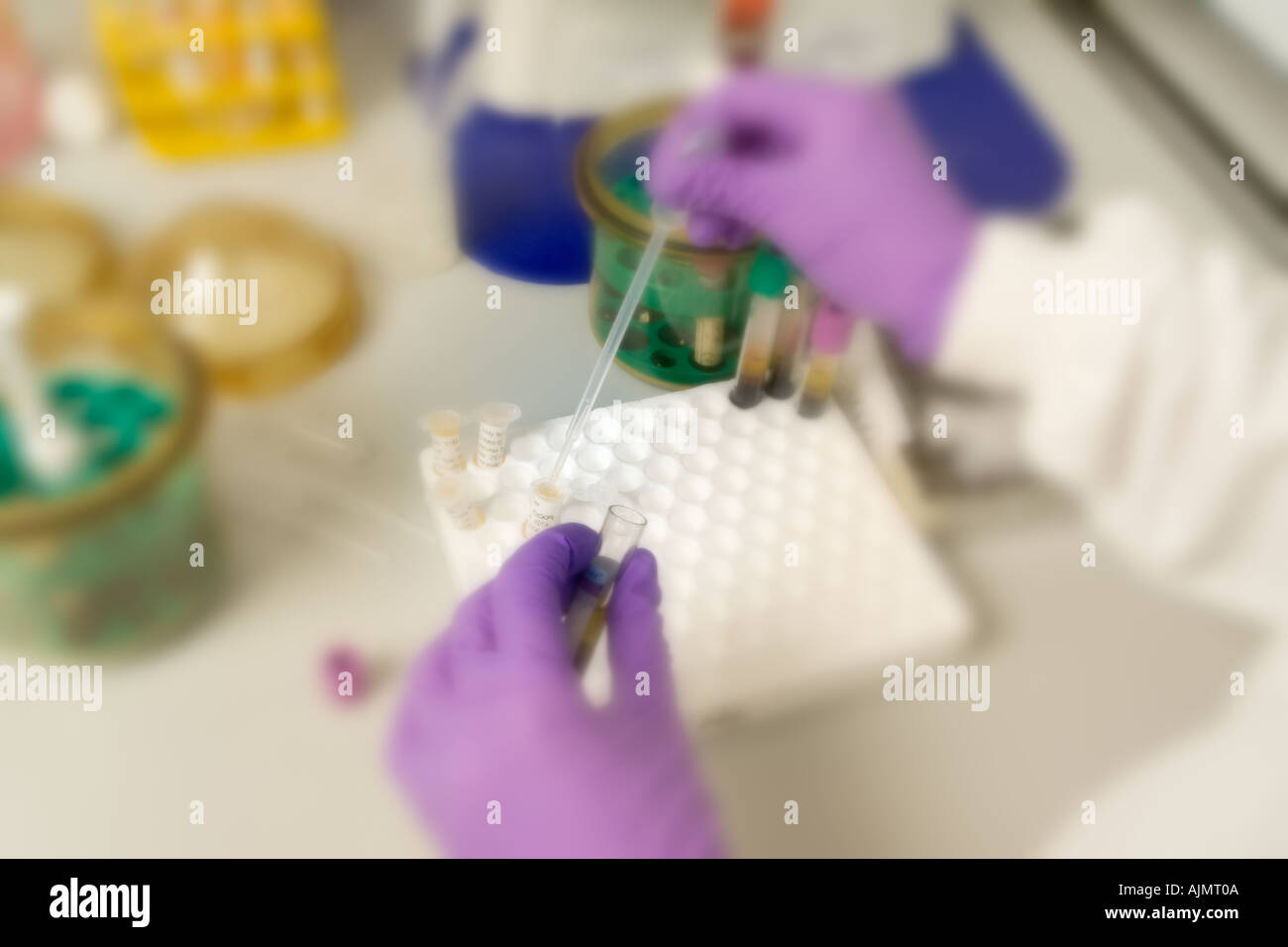 Technician using a pipette to test human blood cells Stock Photo - Alamy