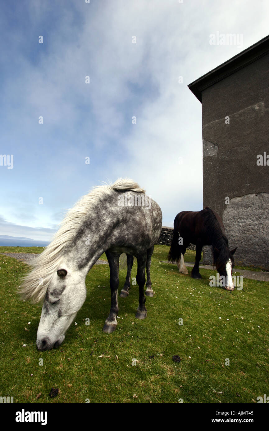 Atlantic underwater cable hi-res stock photography and images - Alamy