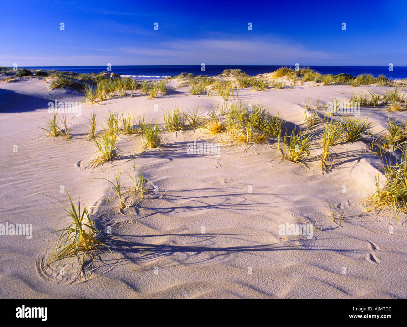 Coastal sand dunes, South Australia Stock Photo - Alamy