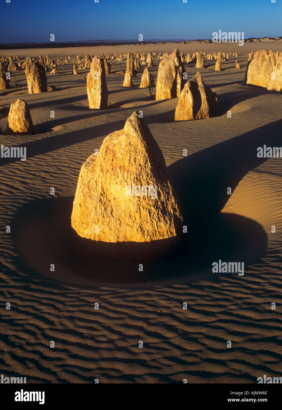 Eroded limestone pillars, Nambung (Pinnacles) National Park, coastal ...