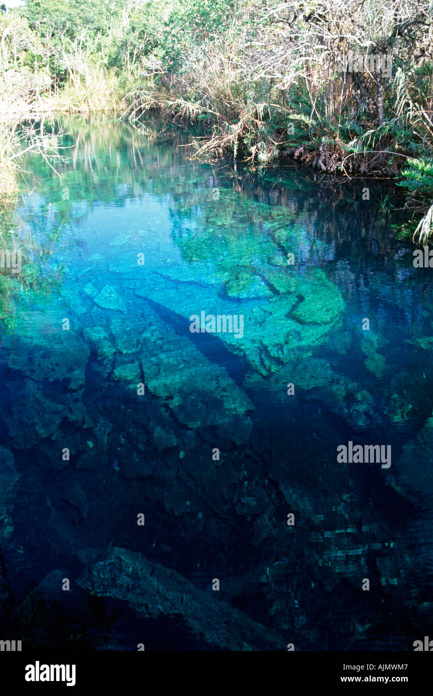 A cenote (natural sink hole) in Mexico's Yucatan peninsula Stock Photo ...