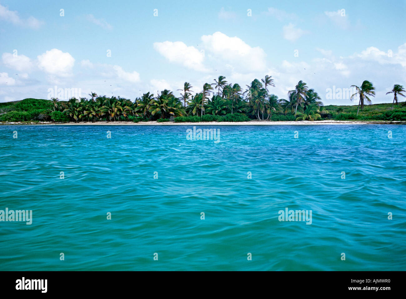 Contoy island hi-res stock photography and images - Alamy