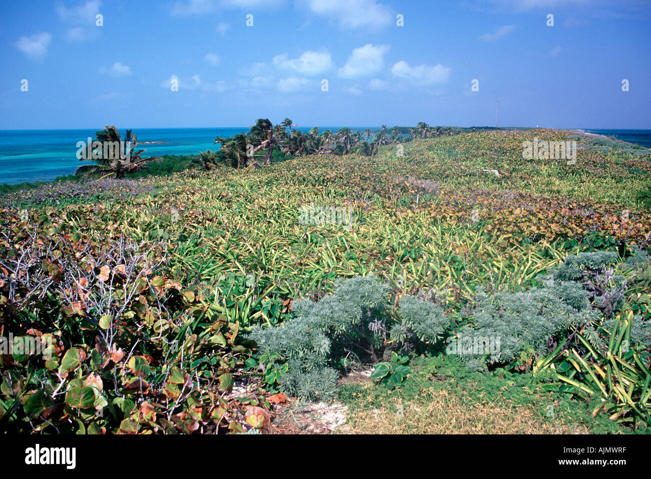 View across the Isla Contoy National park and bird sanctuary off the ...