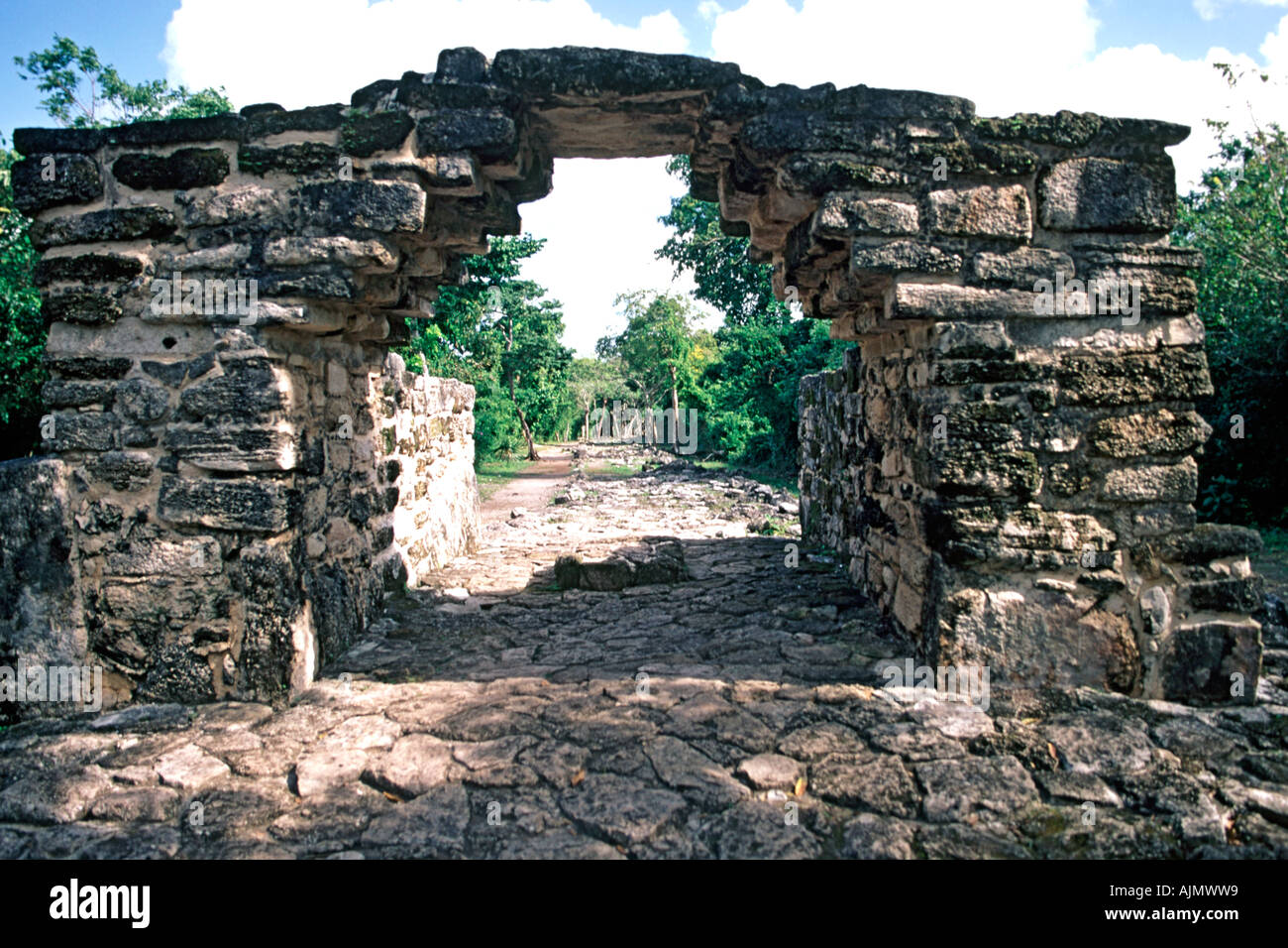 San Gervasio Mayan Ruins On High Resolution Stock Photography and ...