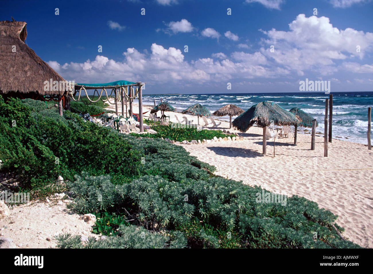 Punta Morena on the island of Cozumel in Mexico Stock Photo - Alamy