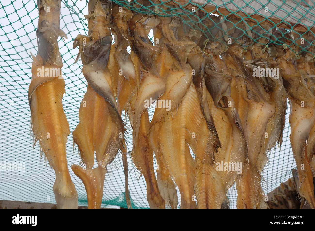 Inuit fish drying hi-res stock photography and images - Alamy