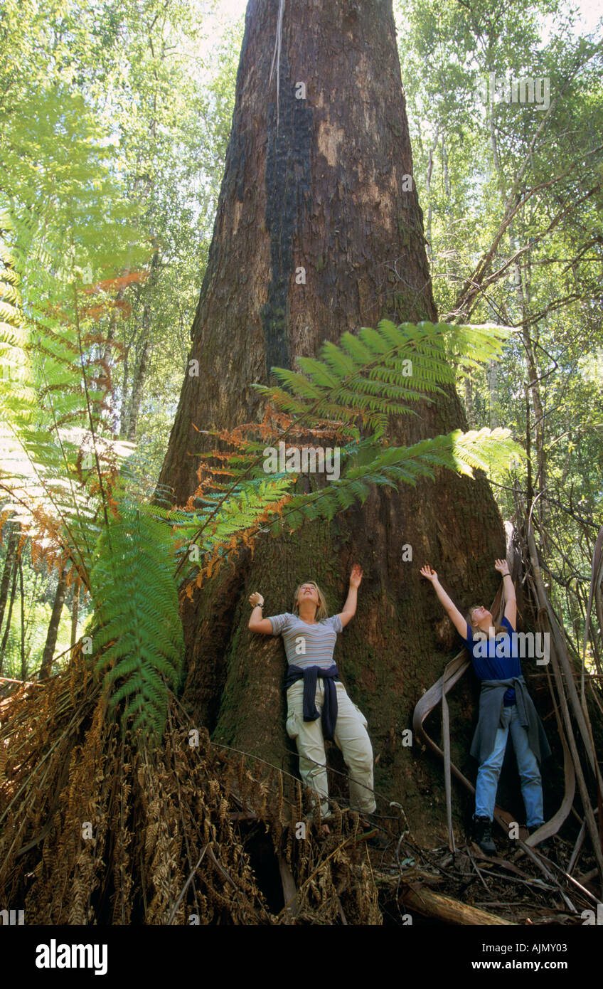 Styx tasmania hi-res stock photography and images - Alamy