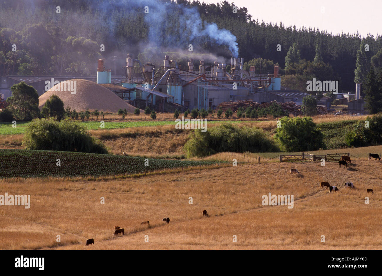 Wood pulp mill hi-res stock photography and images - Alamy