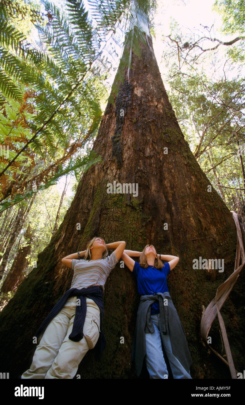 Styx valley tasmania hi-res stock photography and images - Alamy