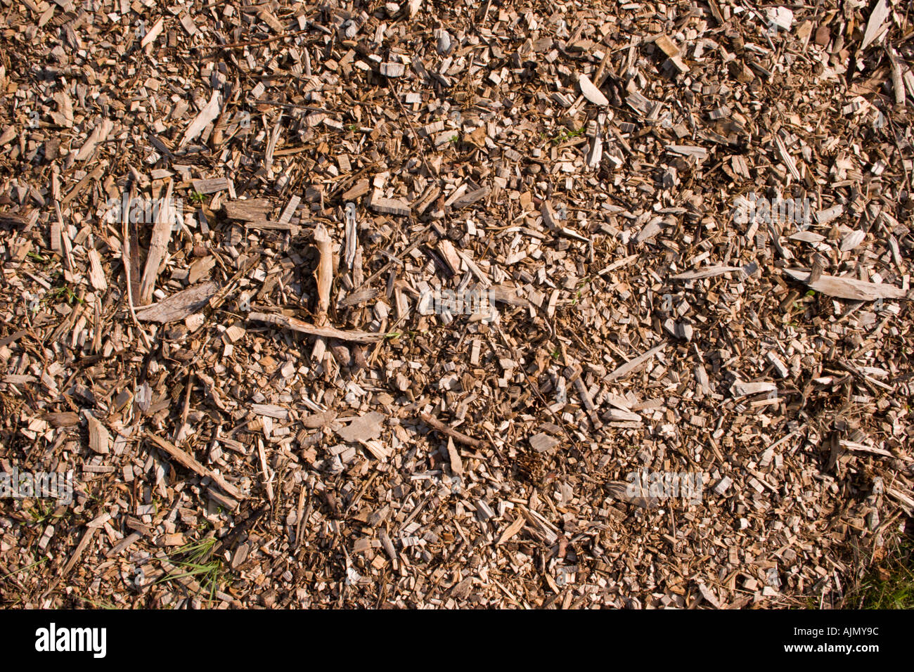 close up off the ground from a birds eye view, the ground is covered ...