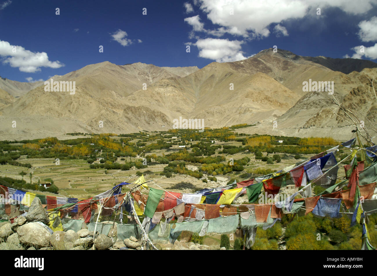 Leh Valley view summer Ladakh Himalayas India Stock Photo - Alamy