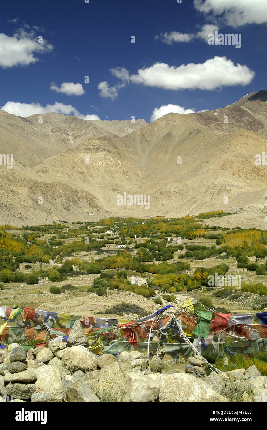 Leh Valley view summer Ladakh Himalayas India Stock Photo - Alamy