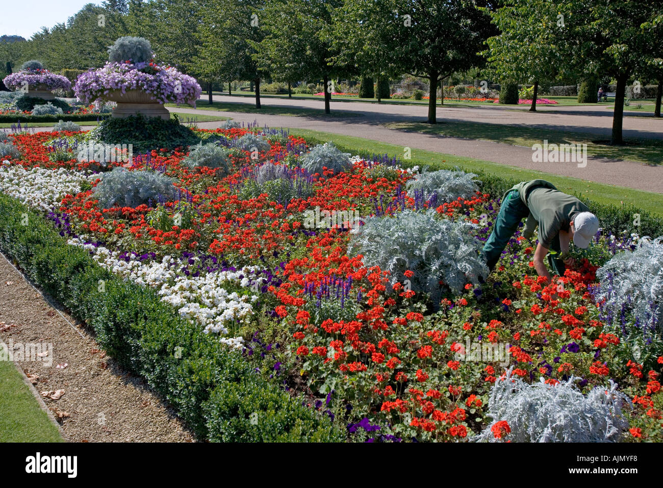 Gardening Regents Park Gardens London UK Stock Photo - Alamy