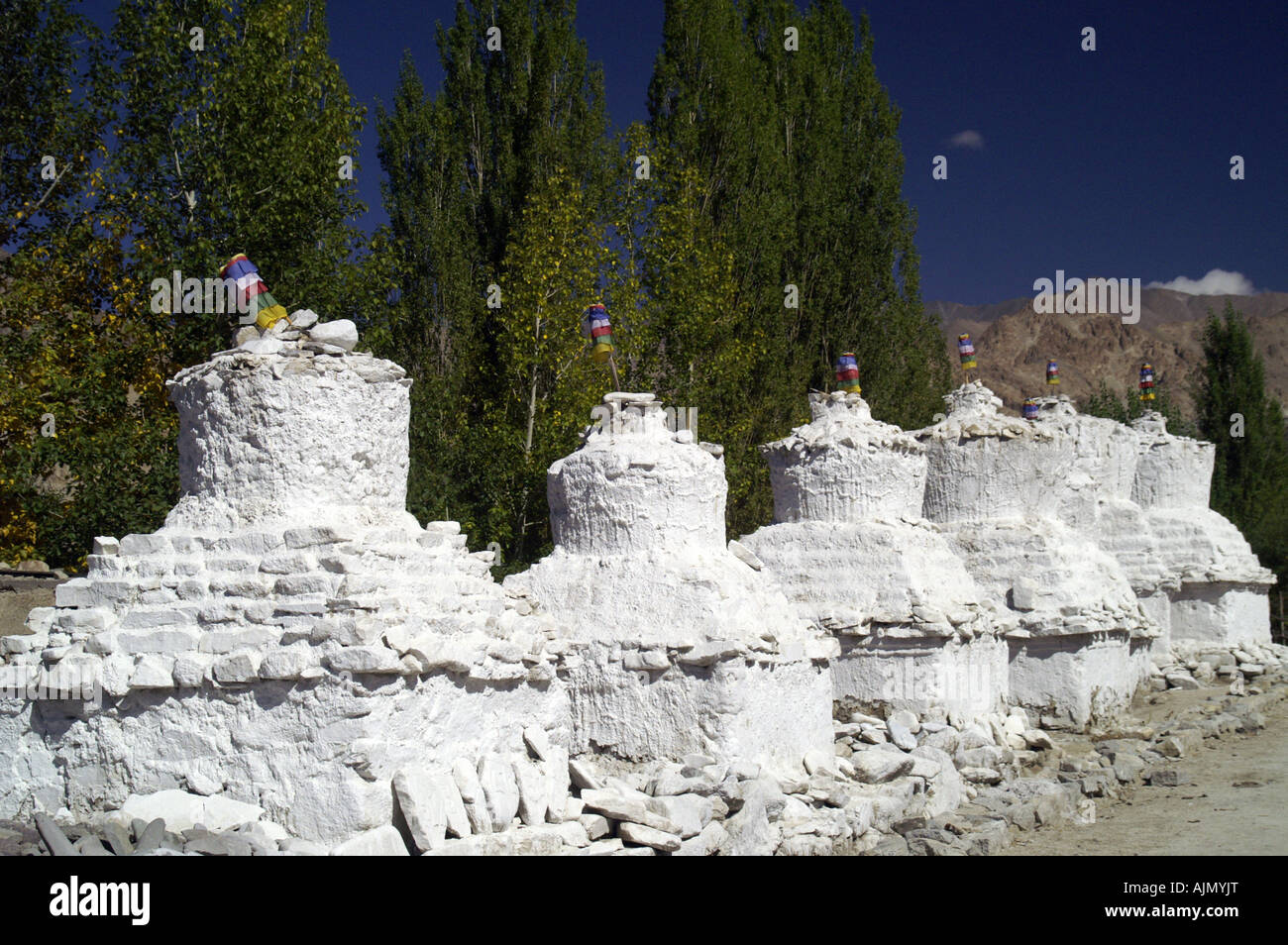 Many aligned tibetan buddhist stupa shrine white spire Leh Ladakh India ...
