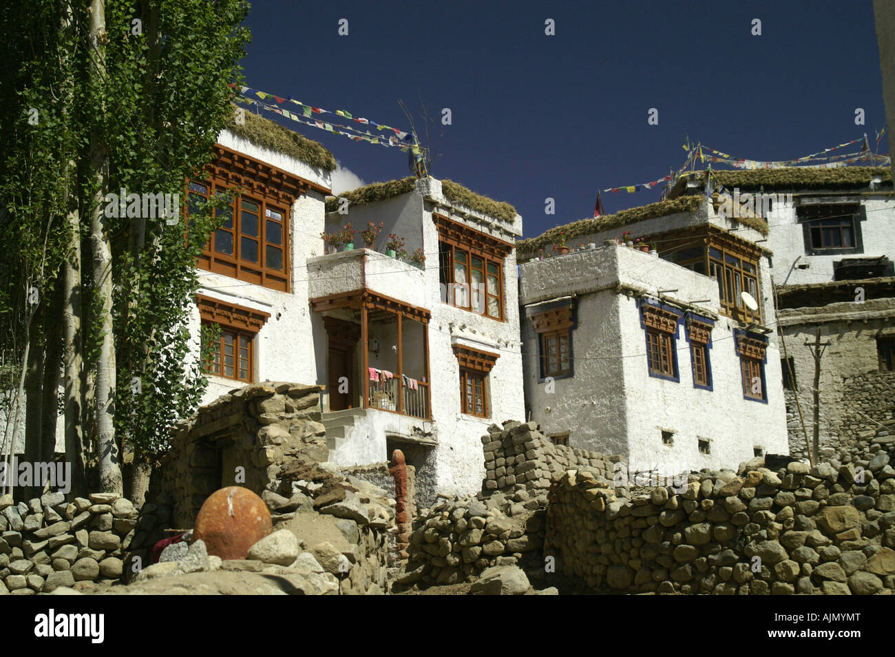 White original tibetan buildings street summer in Leh Ladakh India blue ...
