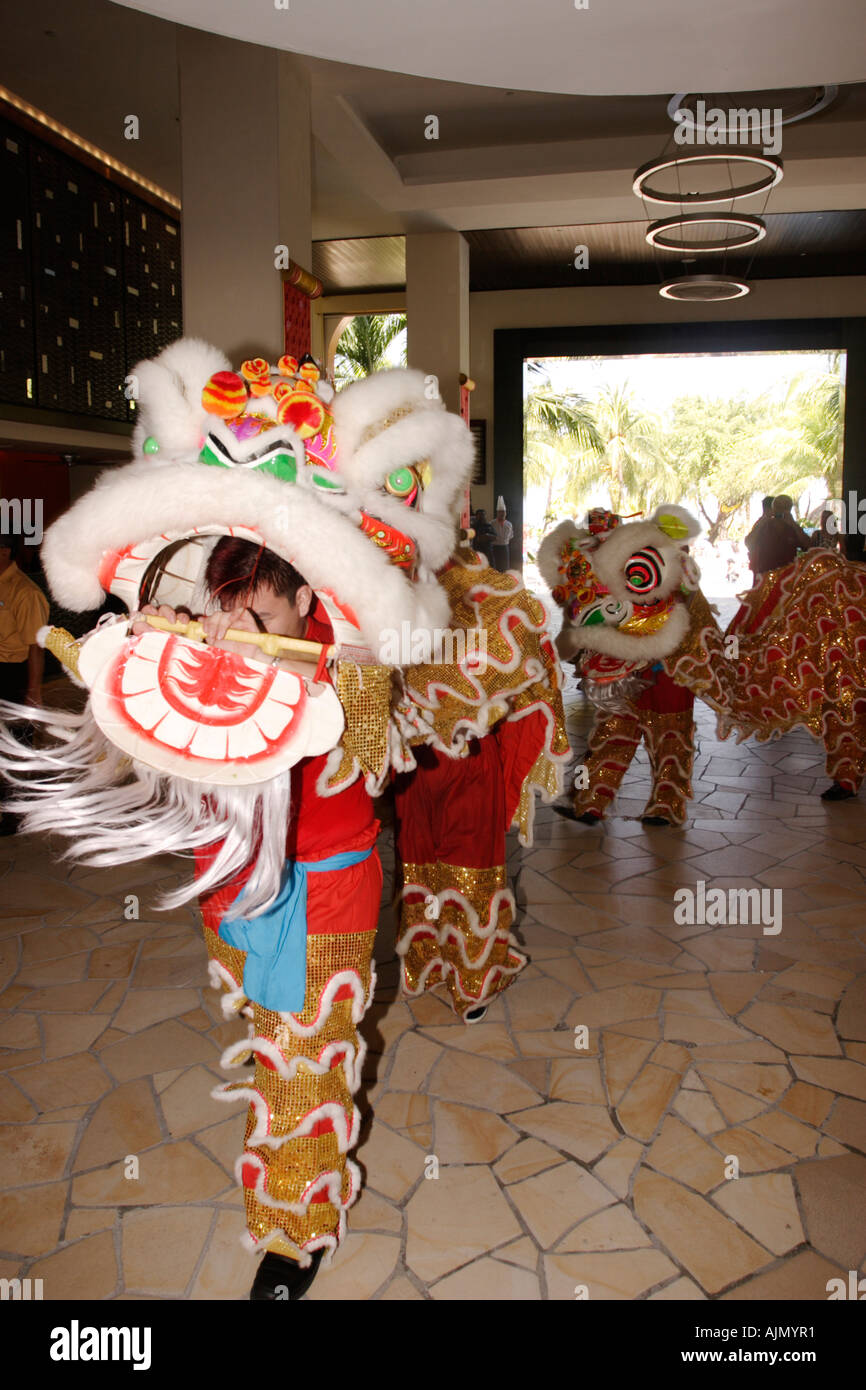 Chinese Malaysians perform the Southern Lion Dance on Chinese new year ...