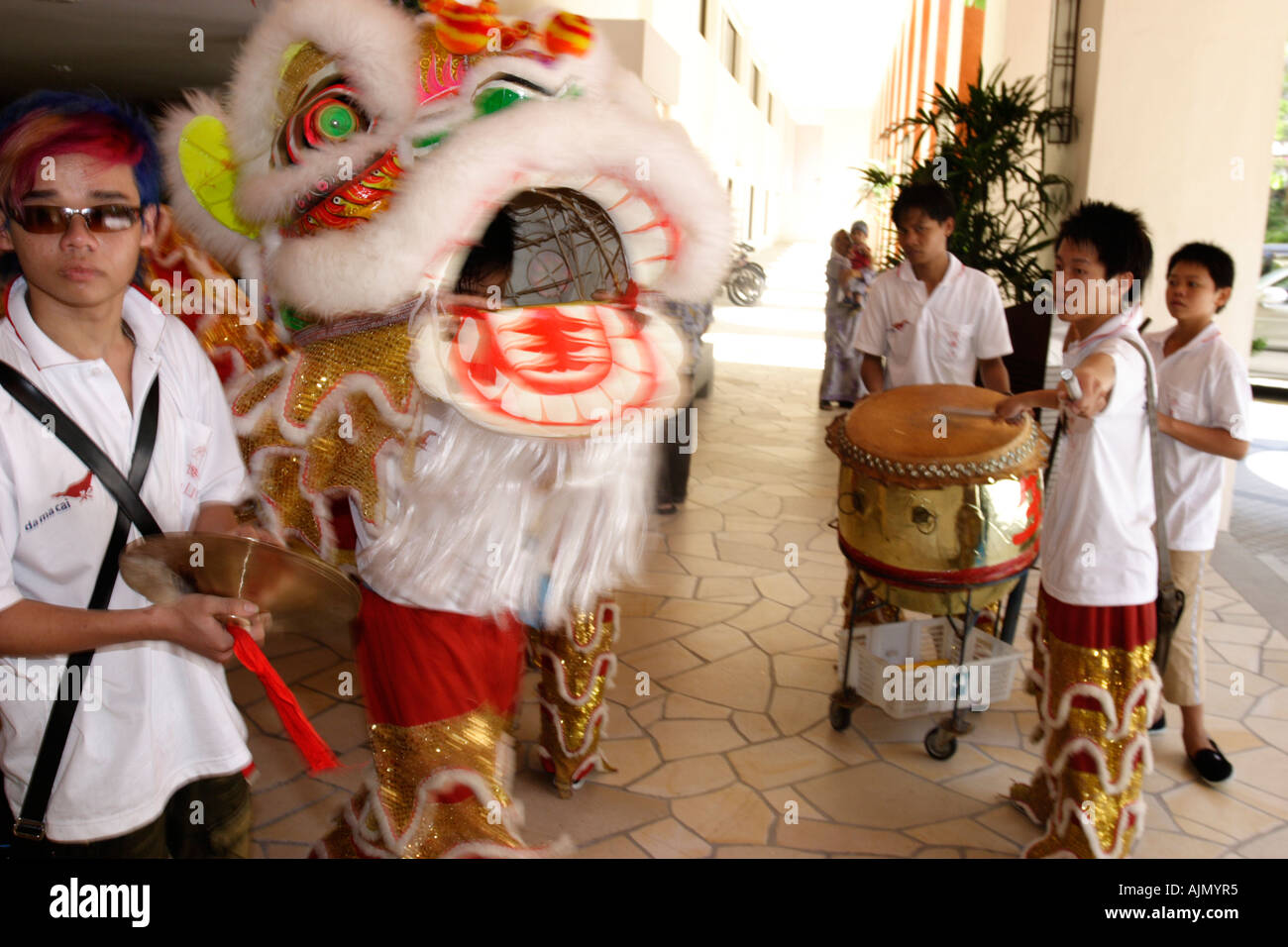 Chinese Malaysians perform the Southern Lion Dance on Chinese new year ...