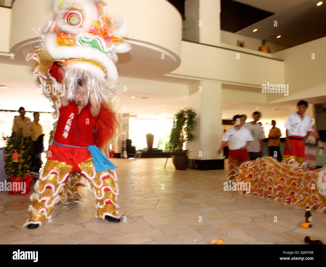 Chinese Malaysians perform the Southern Lion Dance on Chinese new year ...