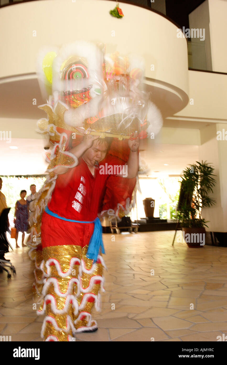Chinese Malaysians perform the Southern Lion Dance on Chinese new year ...