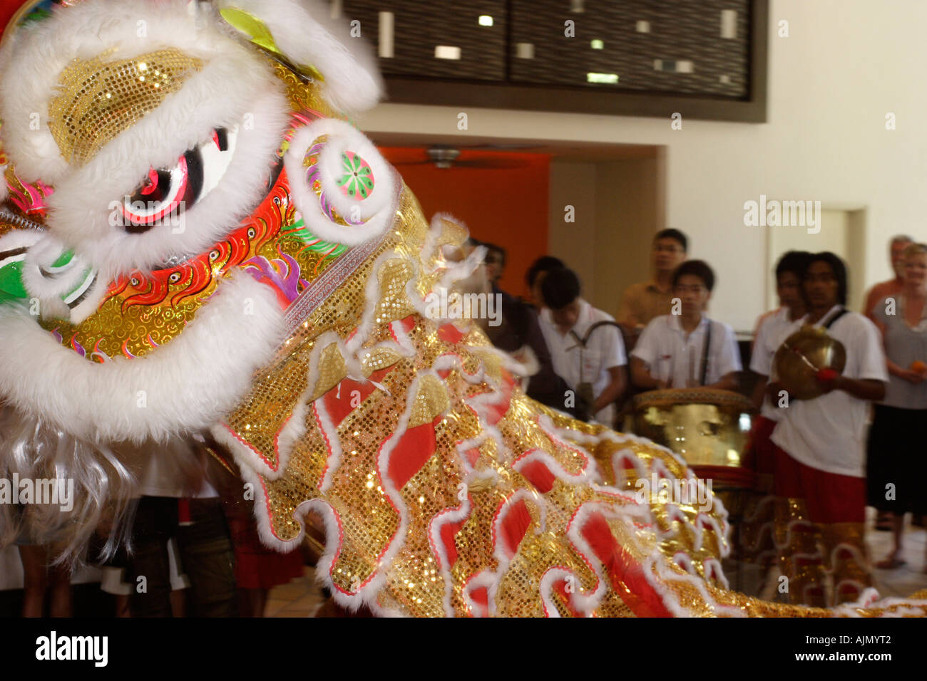 Chinese Malaysians perform the Southern Lion Dance on Chinese new year ...